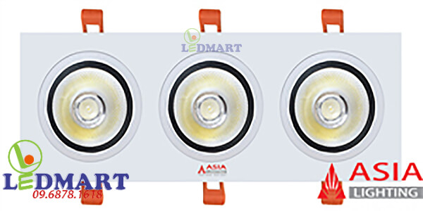 Đèn led âm trần chiêu điểm 2 bóng | Đèn led âm trần gill light | Đèn ...